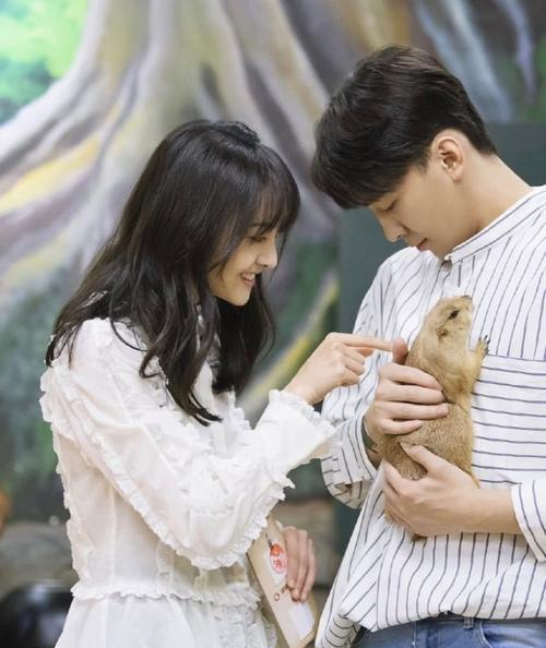 Zhang Heng has no cards to play, Zheng Shuang's actor status is ...