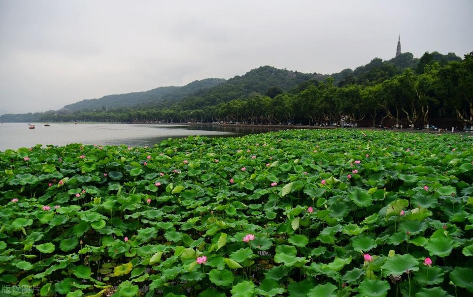 Originality: Chinese traditional family motto: filial piety as the ...