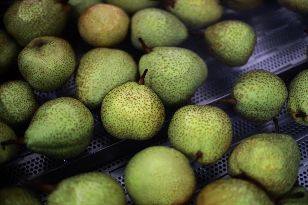 The Story of Chenyi: New product pear paste lollipops-Laiyang Cili ...