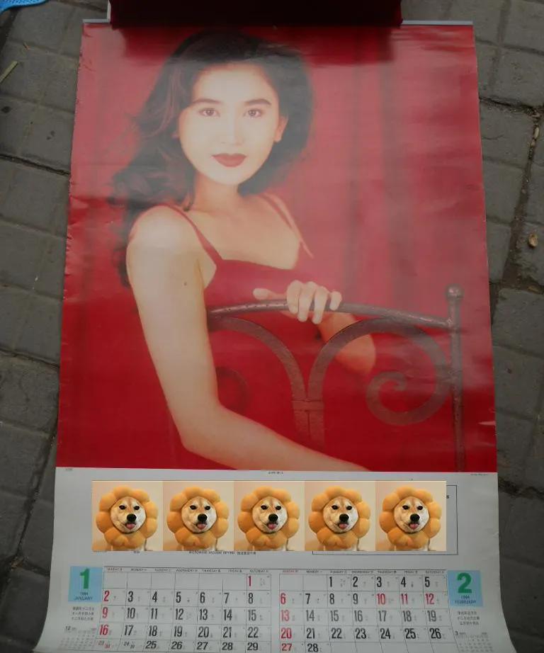 The female celebrity calendars of the 1980s and 1990s are retro and ...