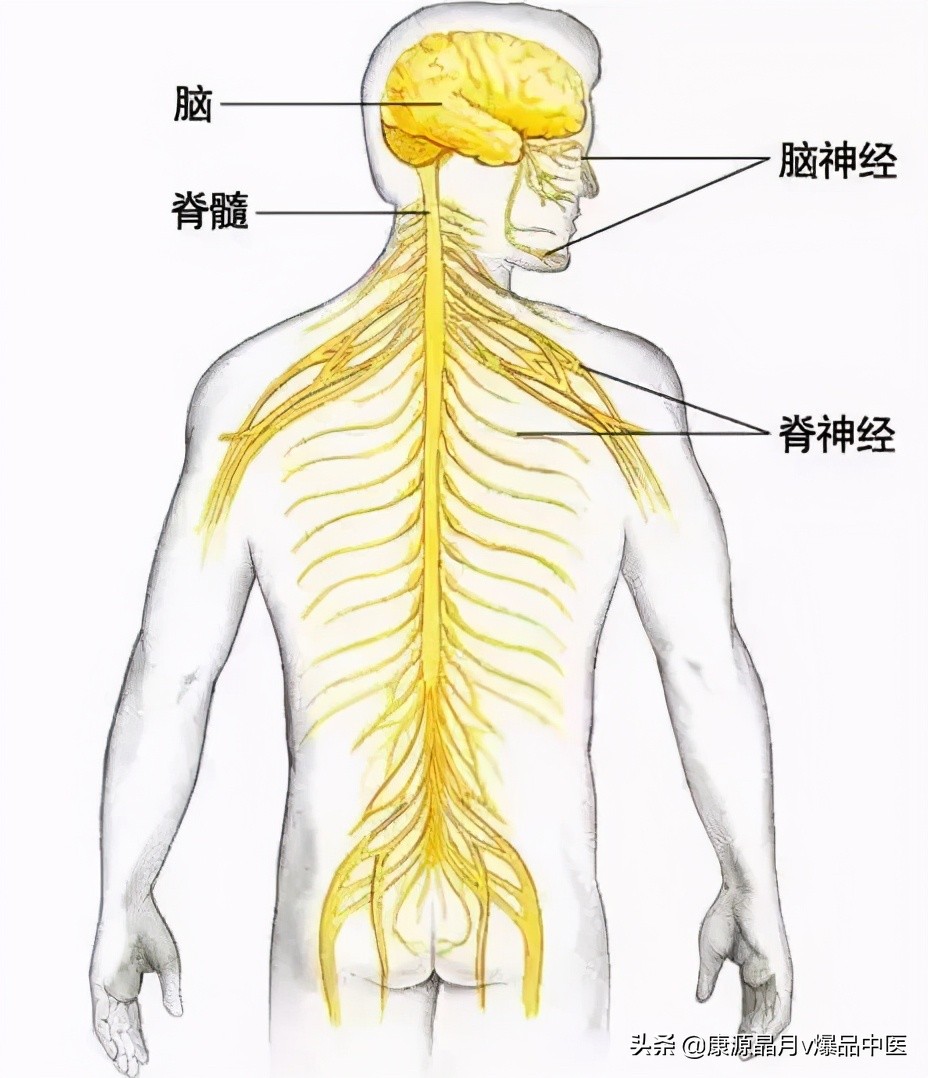 Teach you acupuncture skills: simple and easy to use Lajin exercises ...