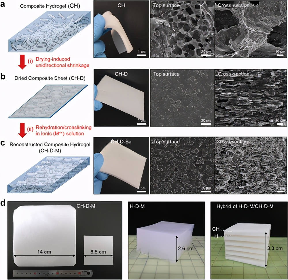 Sungkyunkwan University "AFM" Inspired by biologically high strength ...