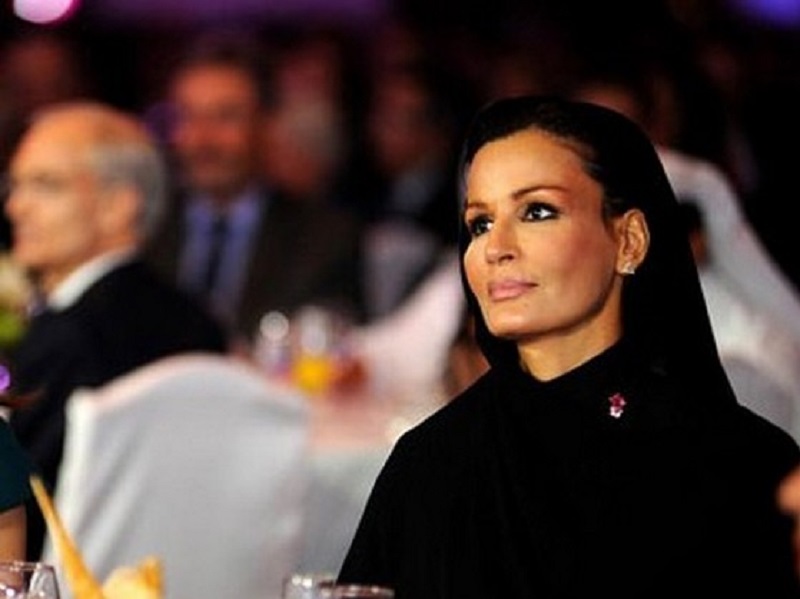 "Middle East Zhenhuan"-Qatar Queen Moza's way to the upper ranks - iMedia