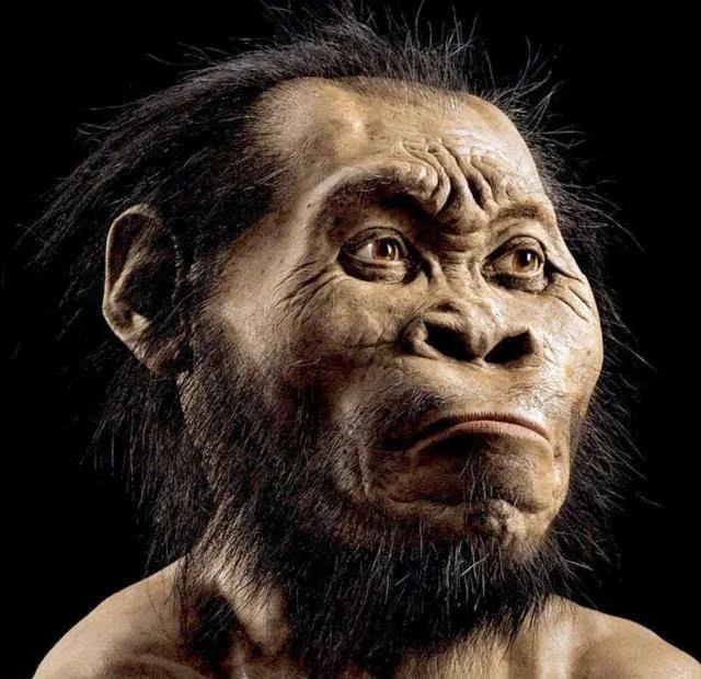 The beginning of human civilization, the ancient ape was born on the ...