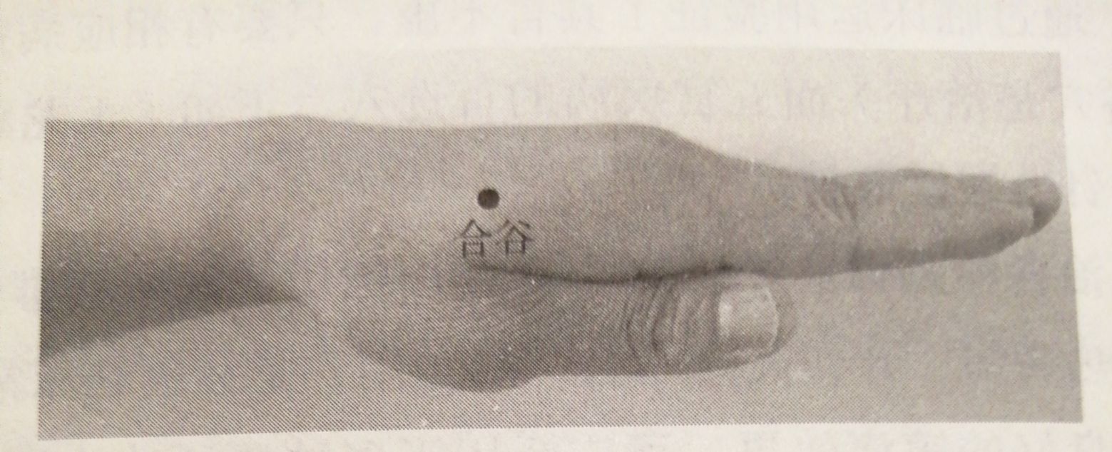 Hegu point, one of the "four total points" - iMedia