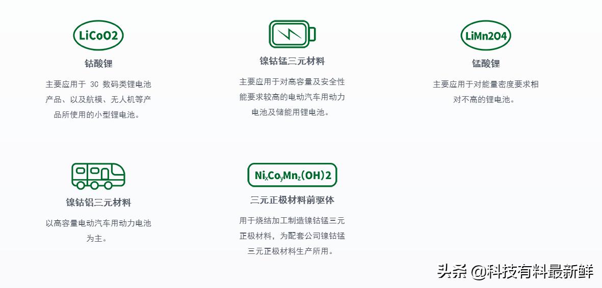 Shanshan shares-the soul of the transformational enterprise in lithium ...