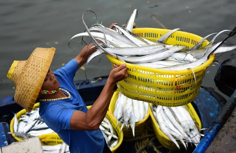 Wang Shumao, a model who protects the sea and protects the country ...