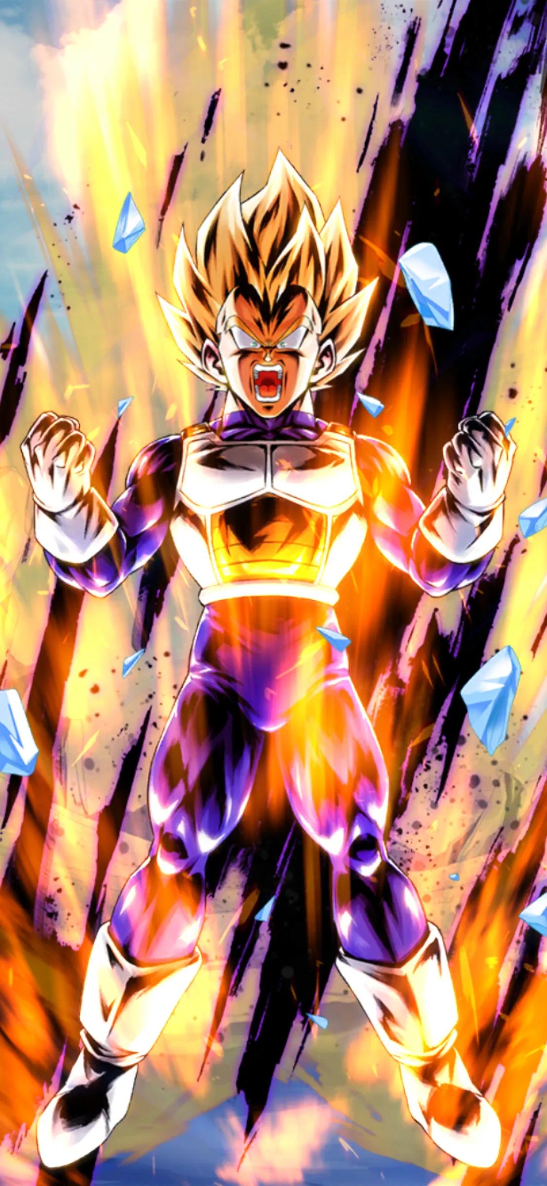 Legend of the Dragon Ball Battle Legend Vegeta Family Illustrated Book ...