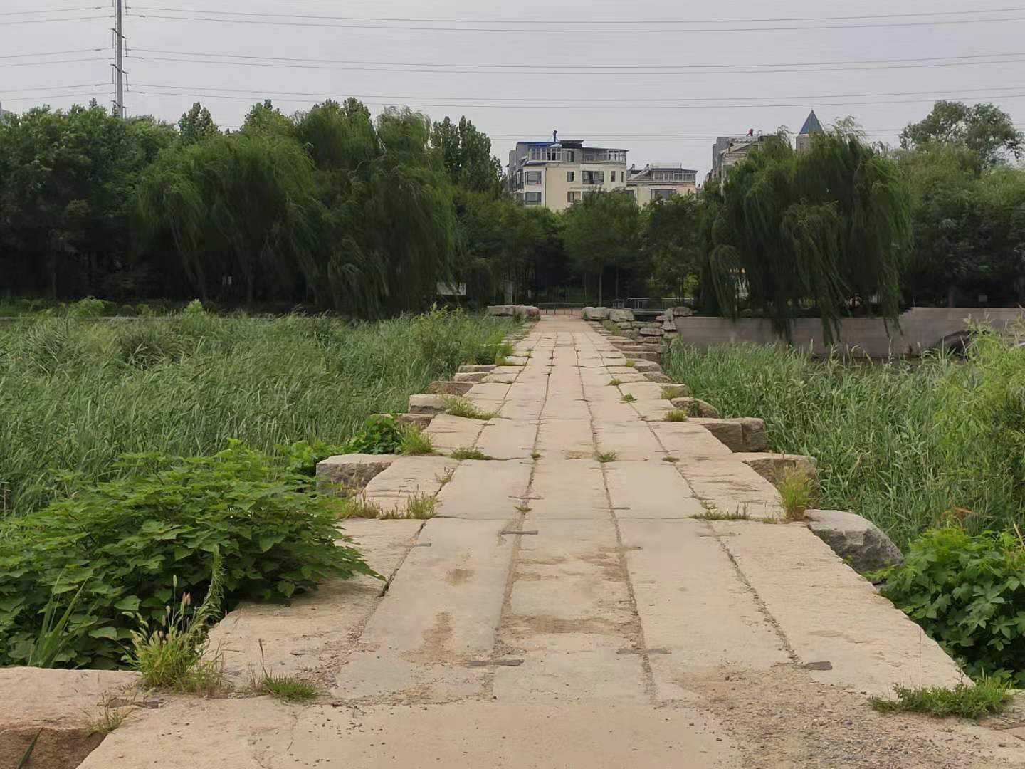 Jiang Guisong from Tai'an in Qing Dynasty: Donated to build Tongxi ...