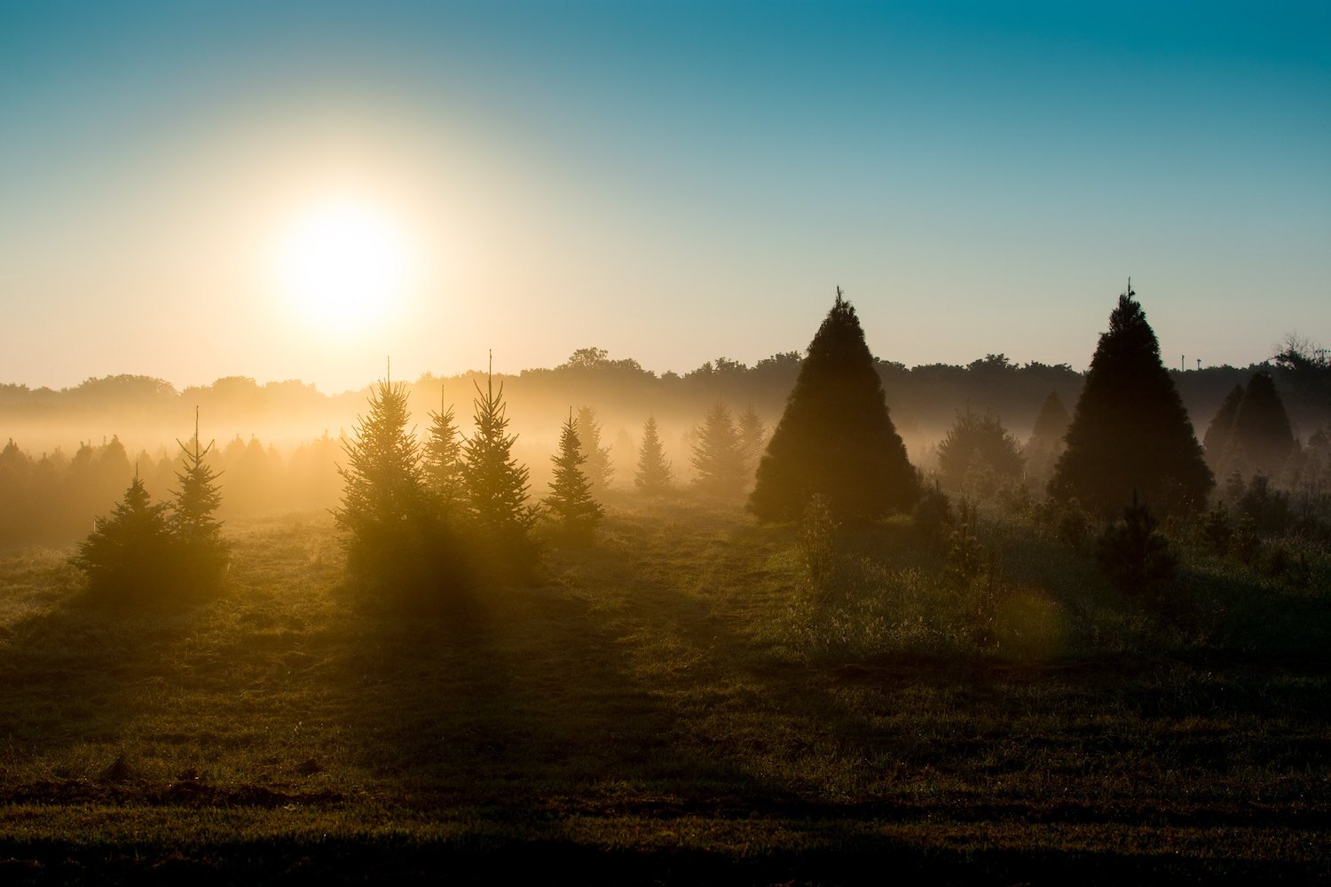 Photography Guide: How to Take Backlit Photos - iMedia