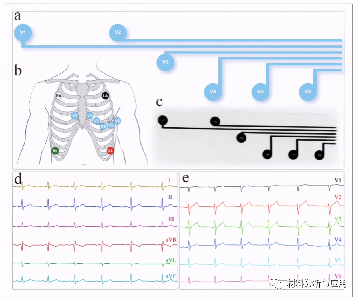 Beihang University: PDMS supports graphene epidermal dry electrodes for ...