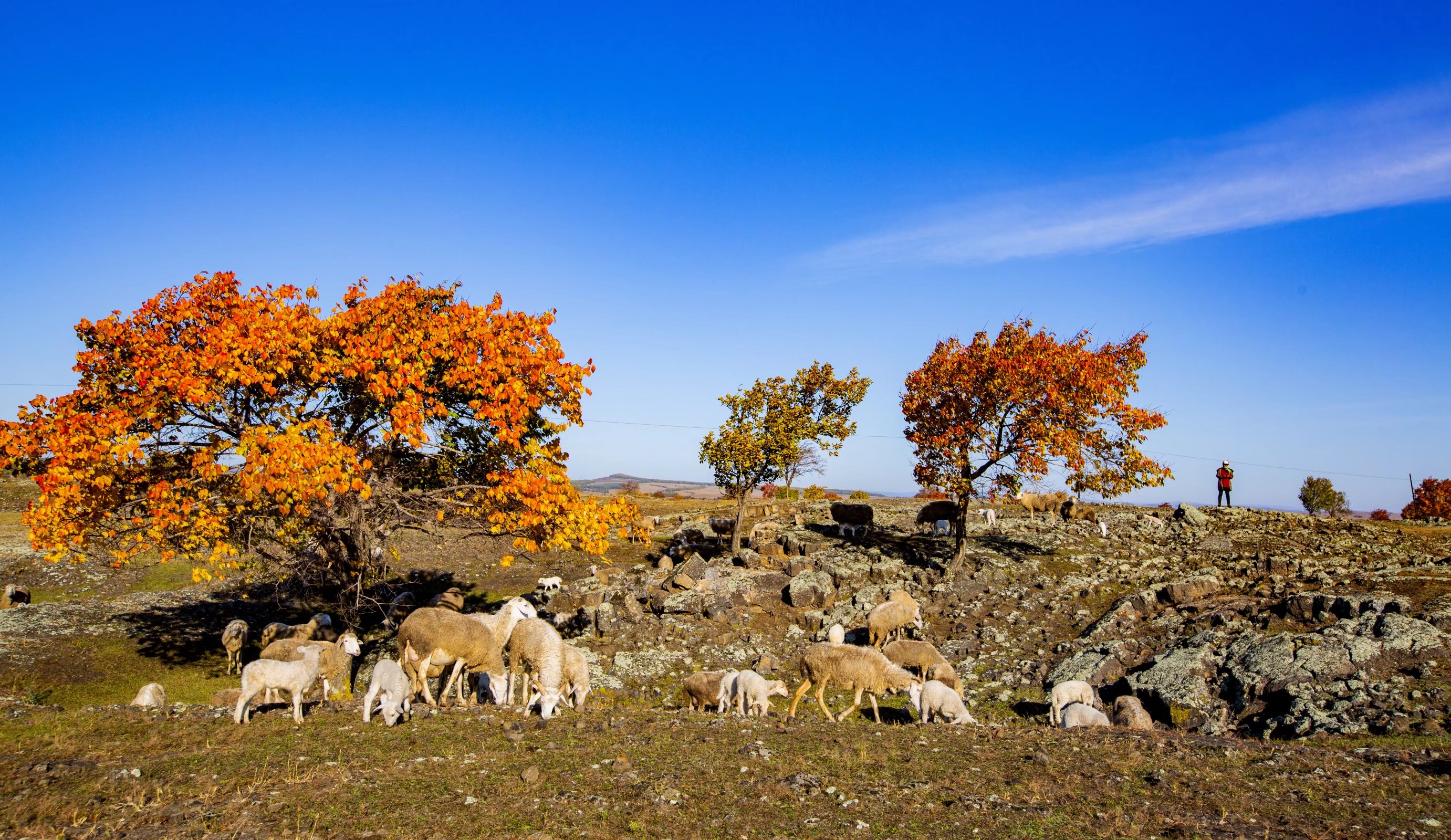 Xingshan, Jingpo Lake Scenic Area, October 7-9, 2021 - iMedia