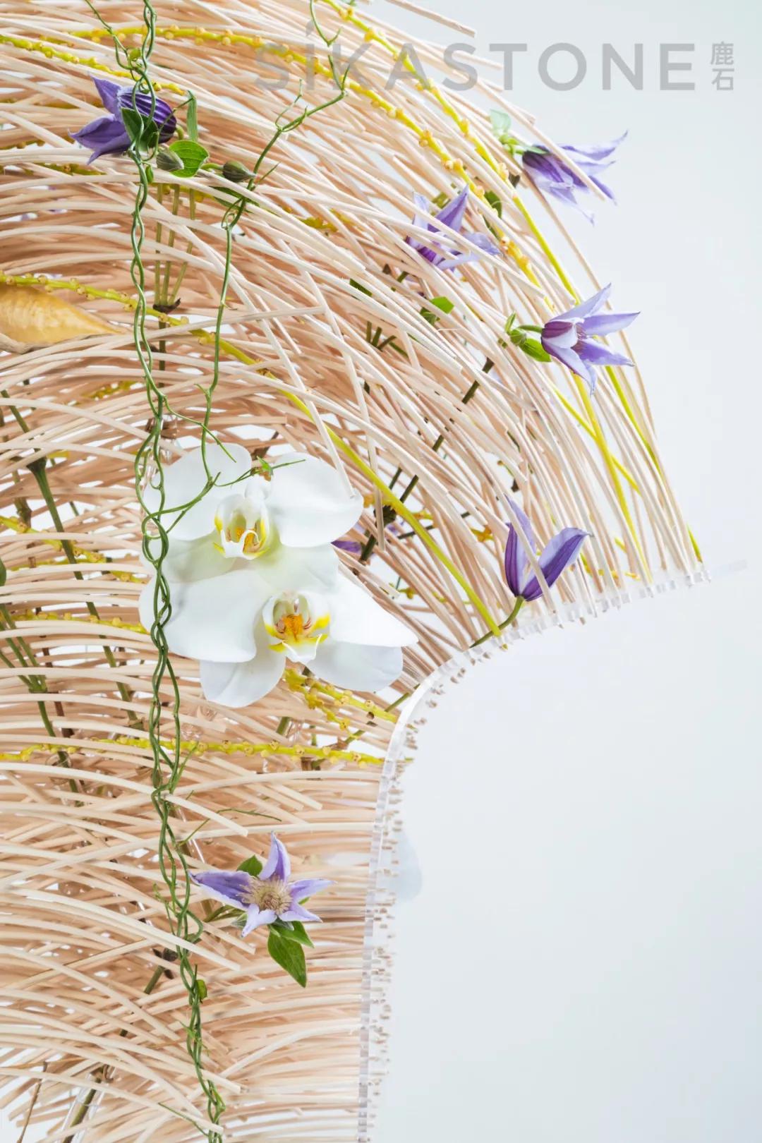 "Frédéric Dupré" visual density and transparent design - iMedia