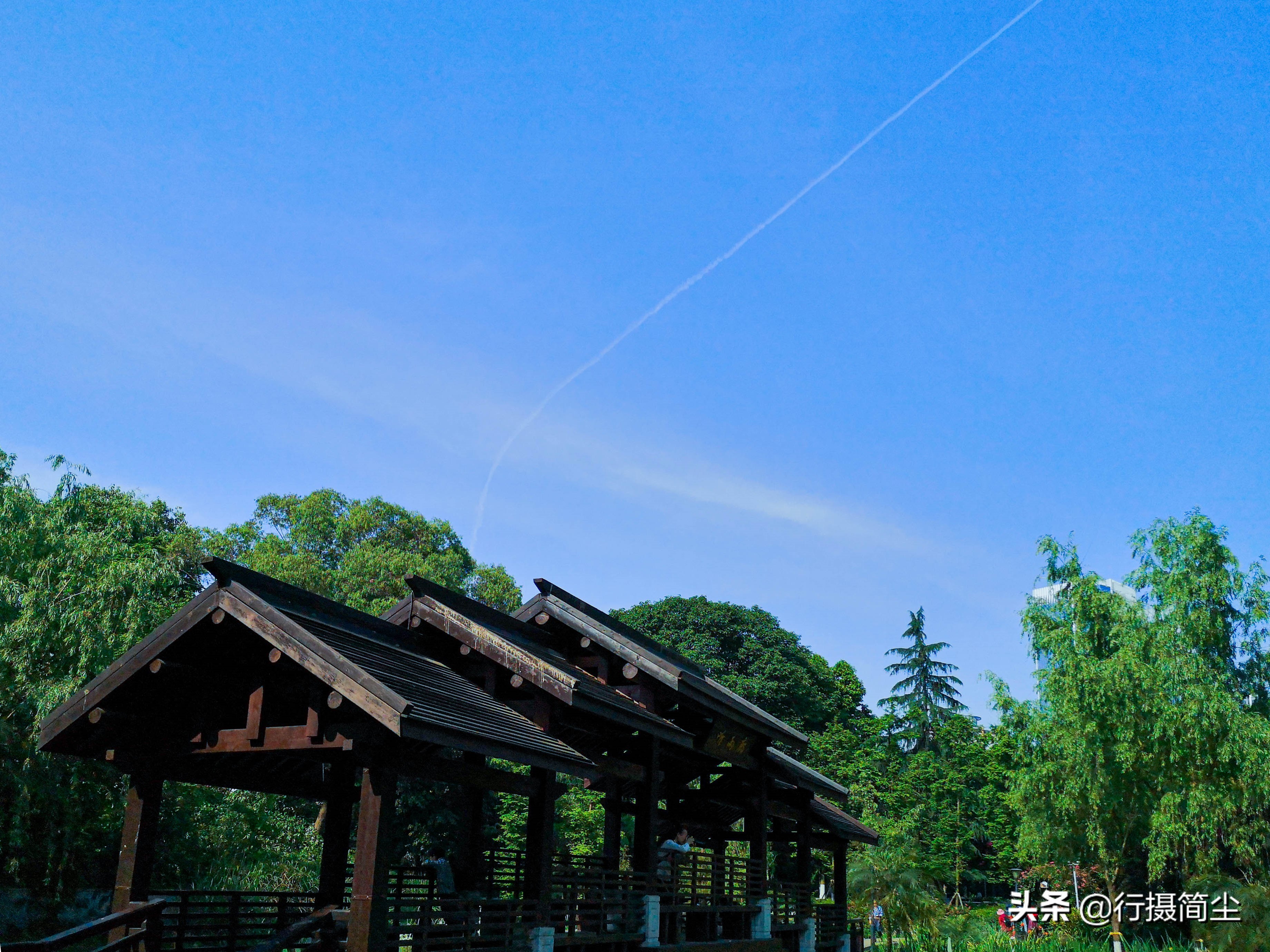 Shaping Park, a bright green pearl in Shapingba District - iMedia