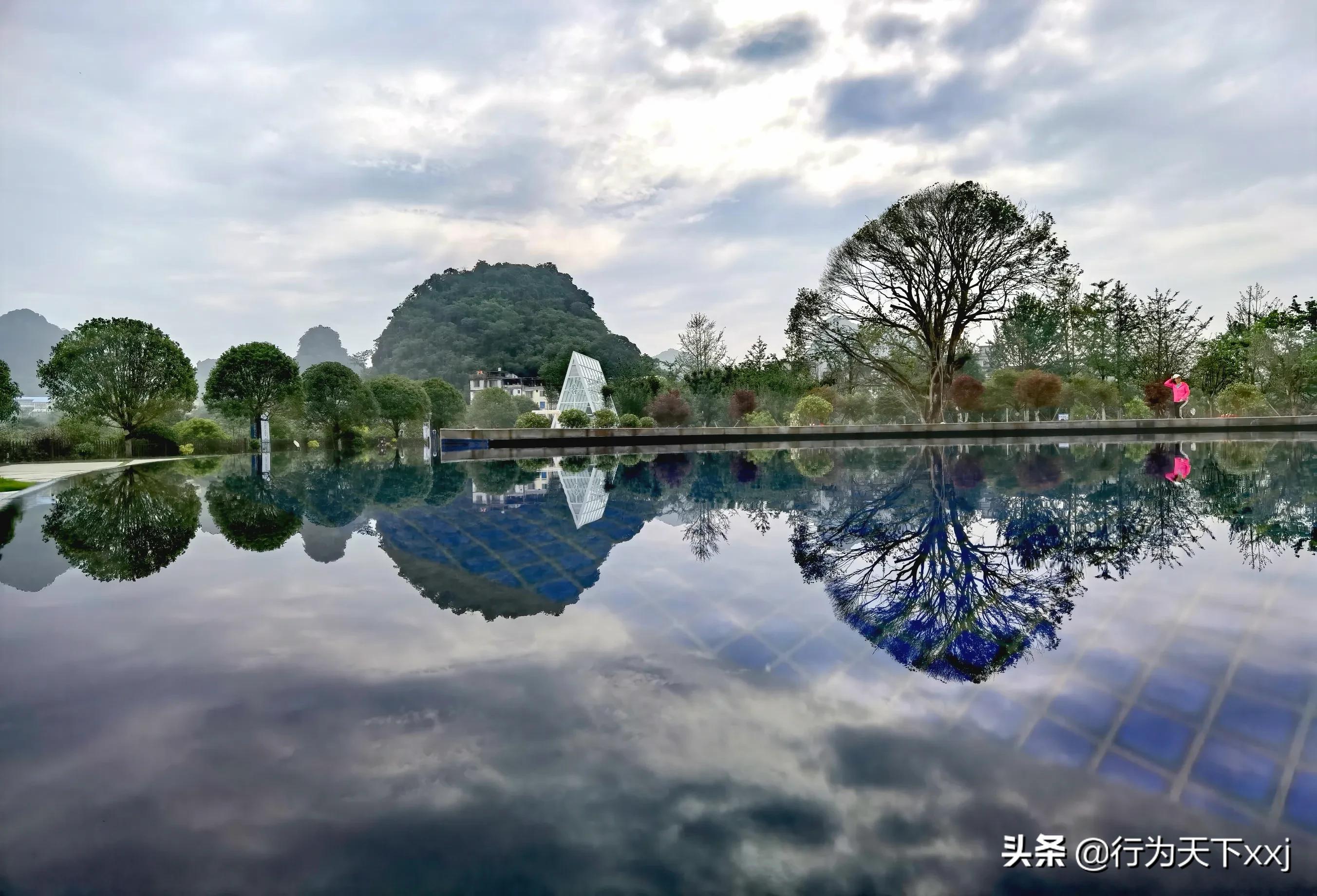 Guilin Osmanthus Commune - iMedia