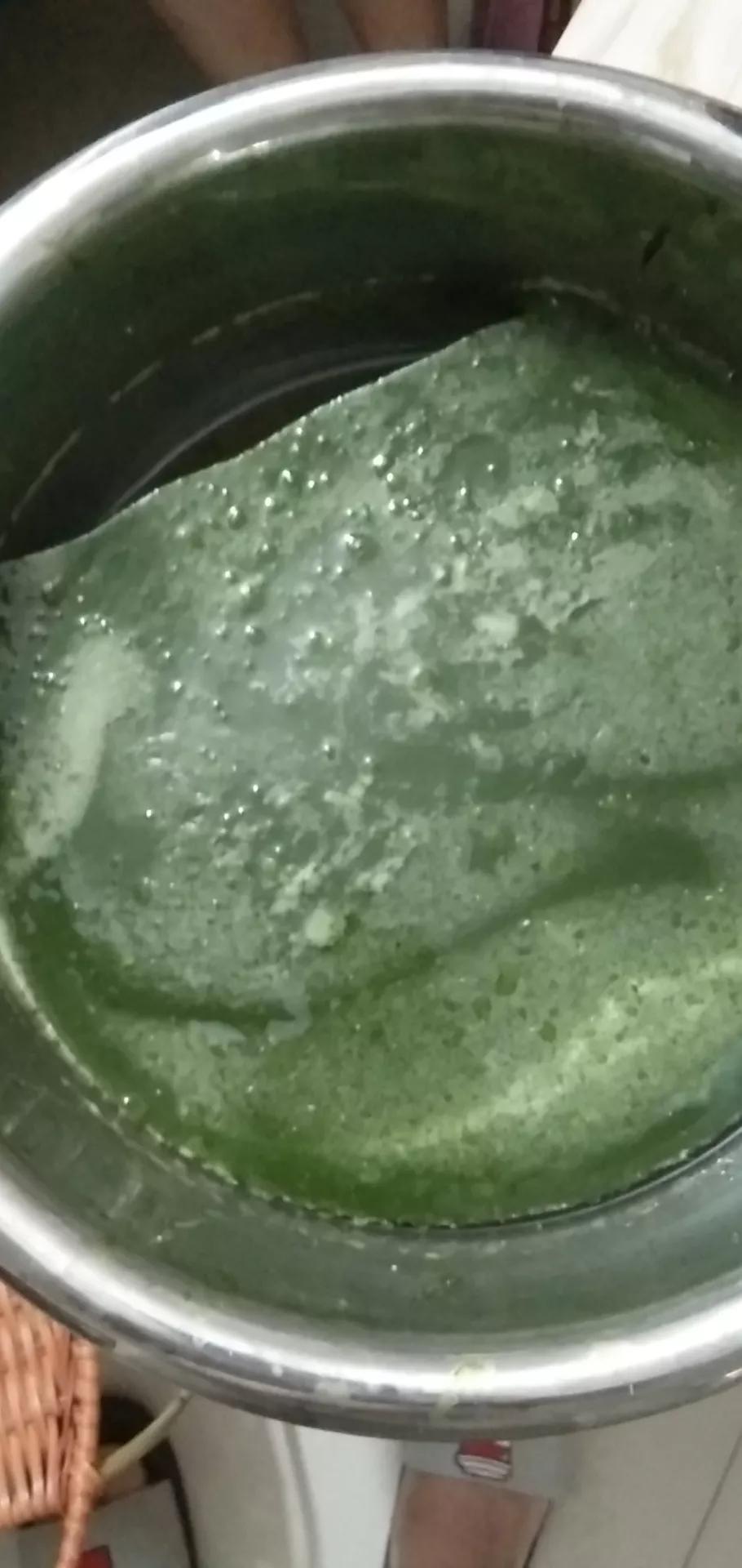 Immortal tofu, mountain food - iMedia