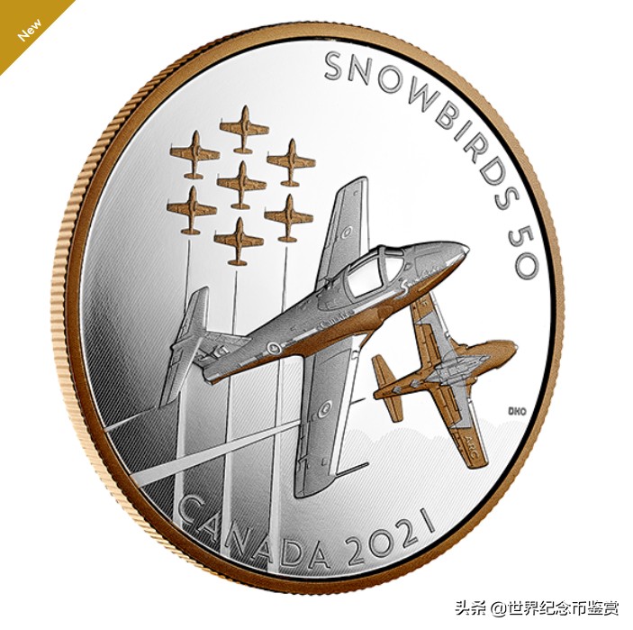 Soaring with Snowbirds: From Air Force Cadets to Canada's Iconic ...