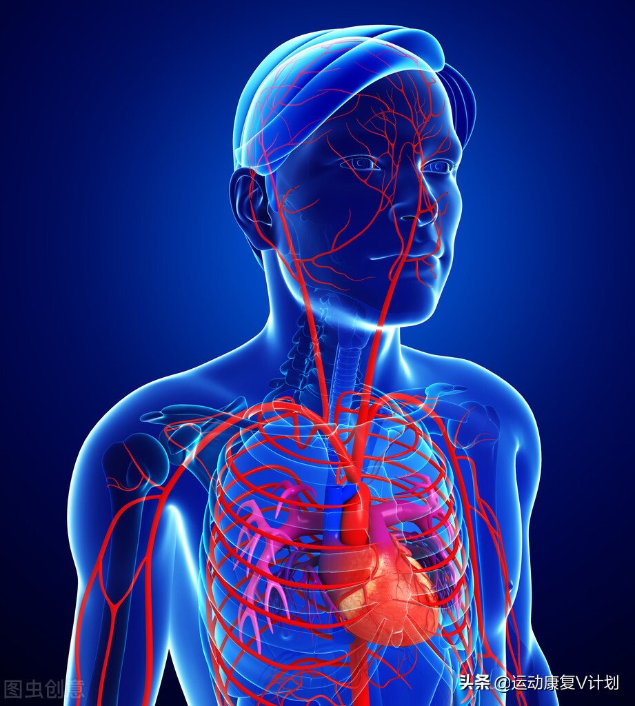 Do you really understand cardiovascular? - iMedia