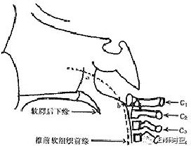 4 methods to measure "adenoid hypertrophy" by X-ray - iMedia