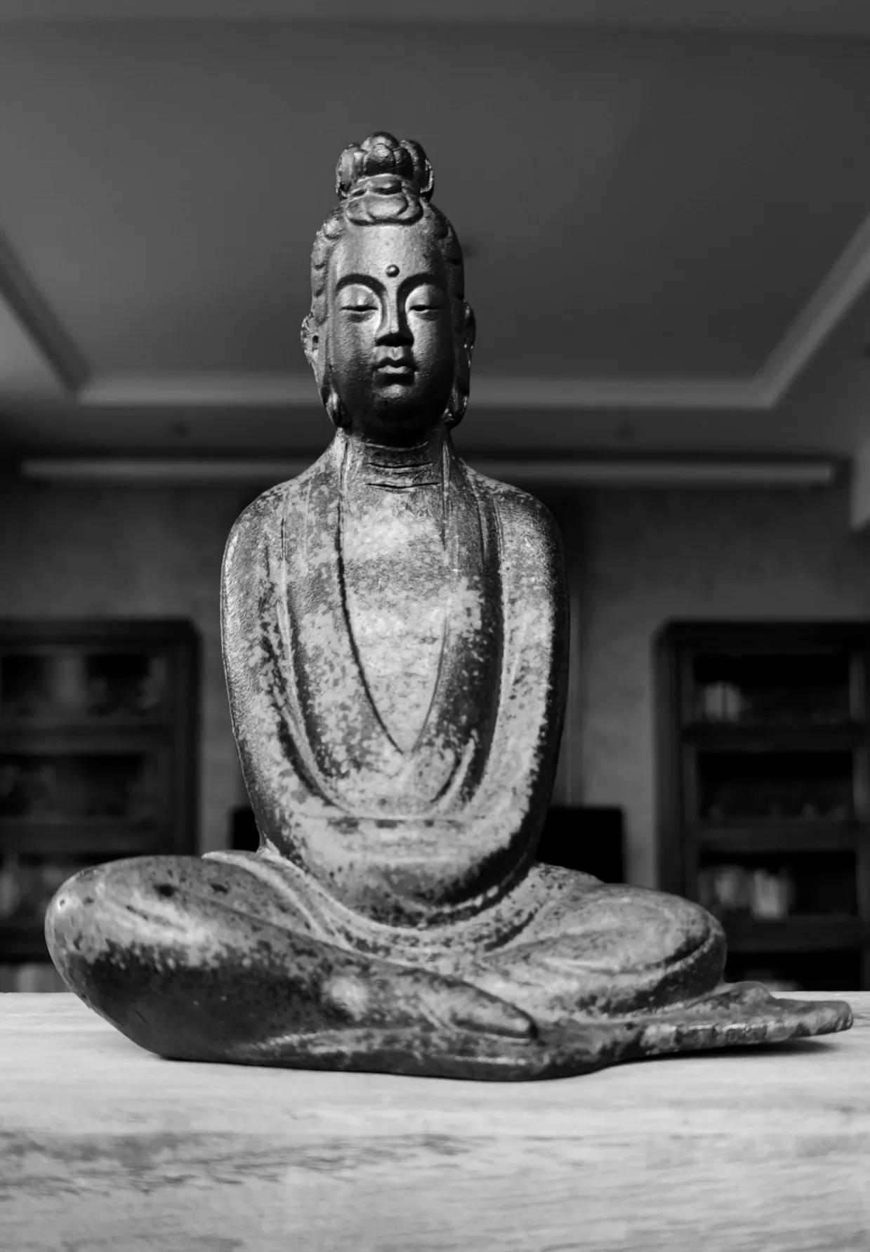 Bizen-yaki 8 Kannon Seated Statue - iMedia