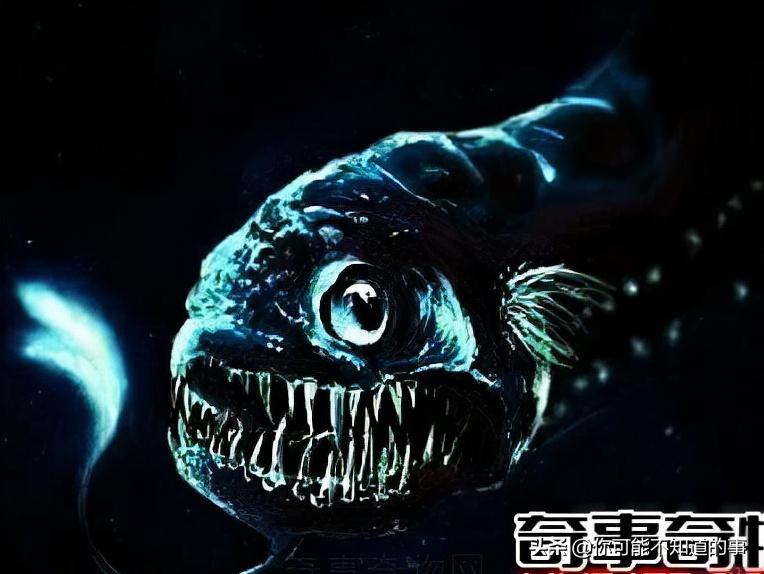 Ranking of the most terrifying creatures in the deep sea - iMedia