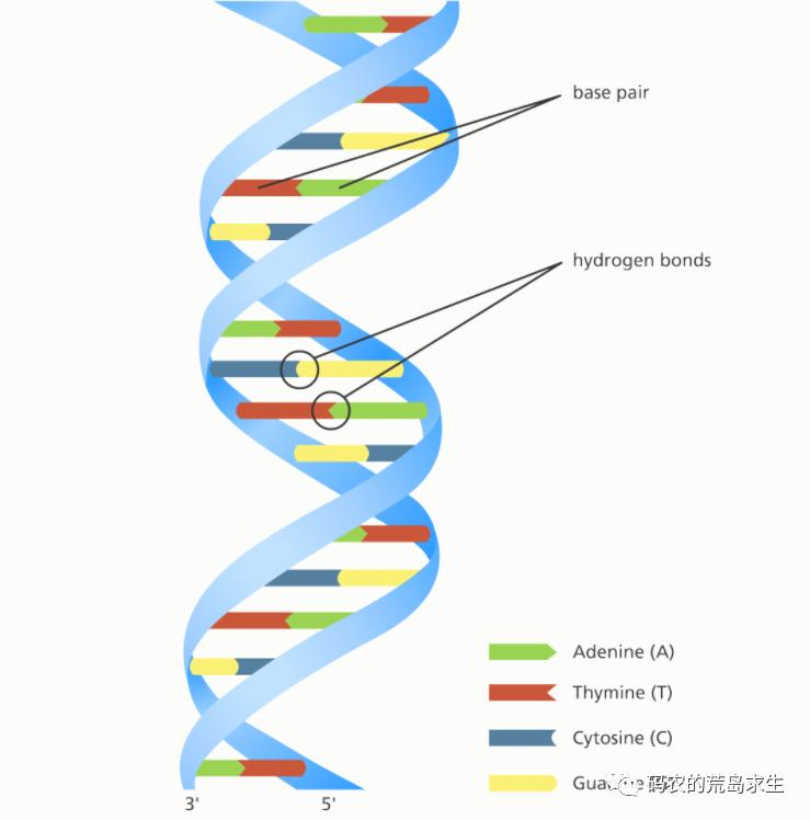 Do you call this crap as a CPU? - iMedia