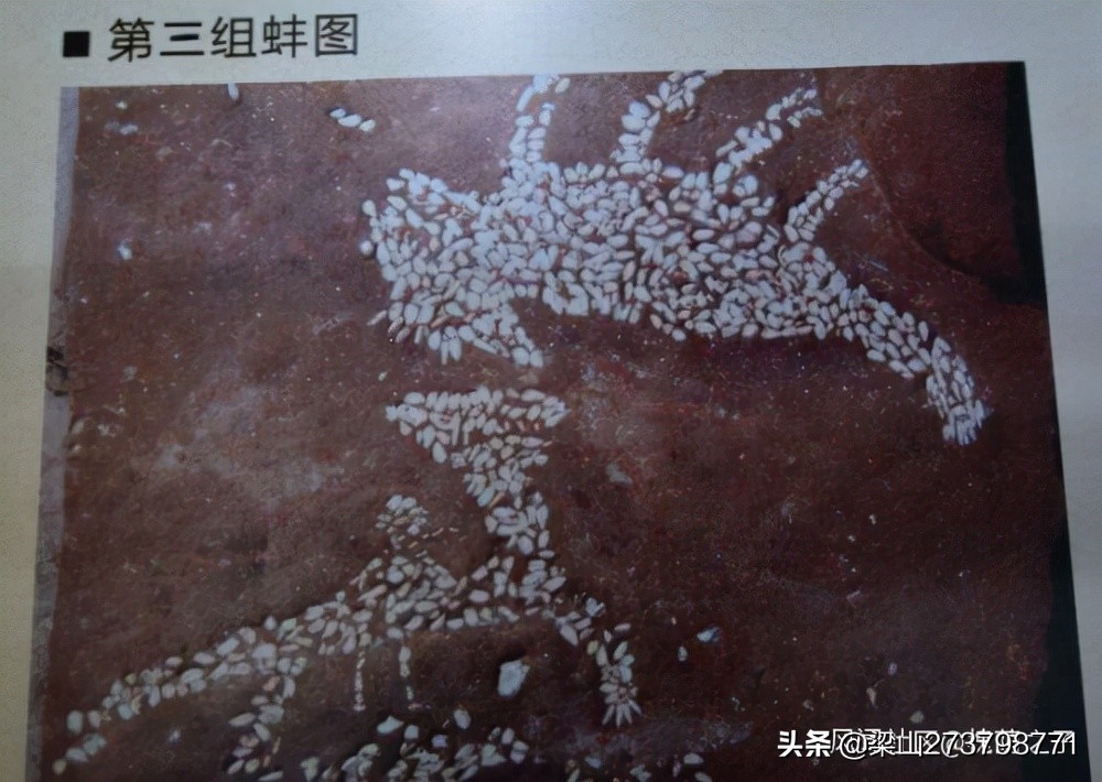 "China's First Dragon" and China's earliest astronomical map - iMedia