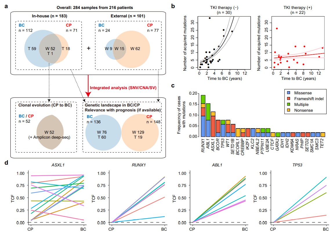 Using WES to Study the Clinical Significance of Clonal Evolution in ...