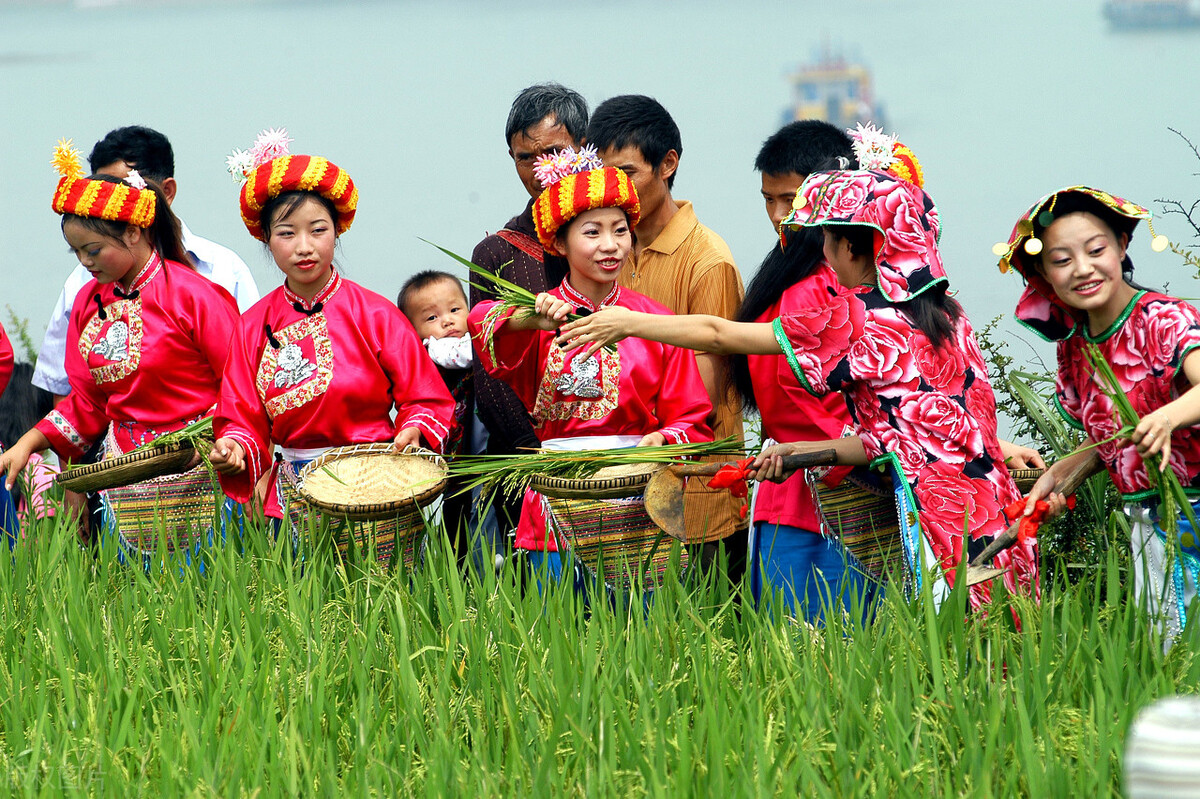 Collection of 56 Chinese Nationalities (7) - iMedia