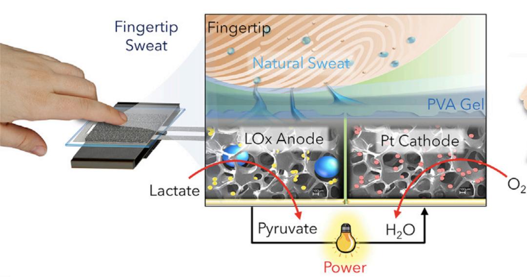 Hand sweat achieves "freedom of power generation"?Young people have ...