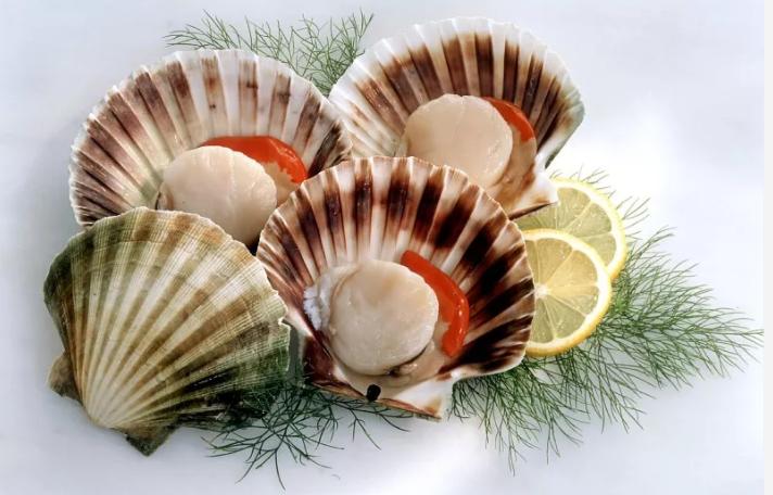 What is the best seafood to eat in summer?Groups of "fresh" gather ...