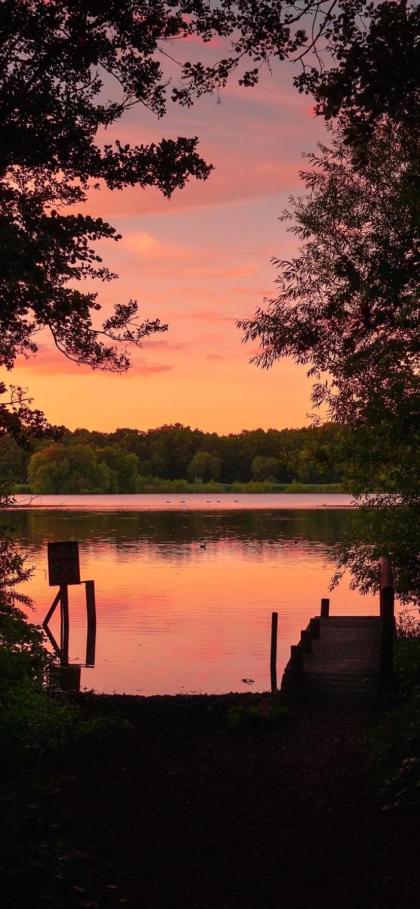 Sharing wallpapers (320) - iMedia