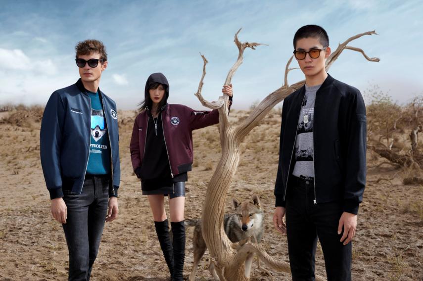 Seven wolves: Deconstructing the high-quality development direction of ...