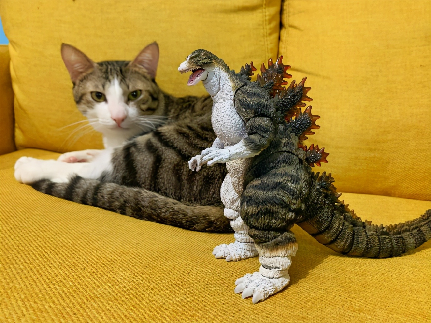 Cute pet cat color matching Godzilla model "Godzilla" - iMedia
