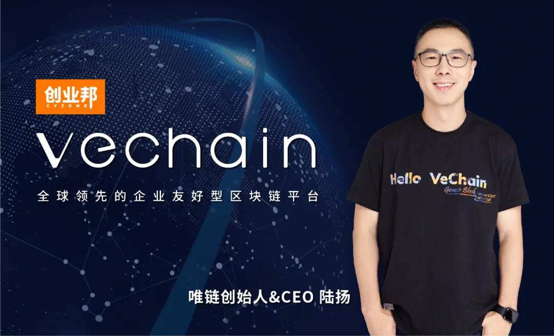 Interview with Lu Yang, founder of VeChain: Former LV executives, the ...