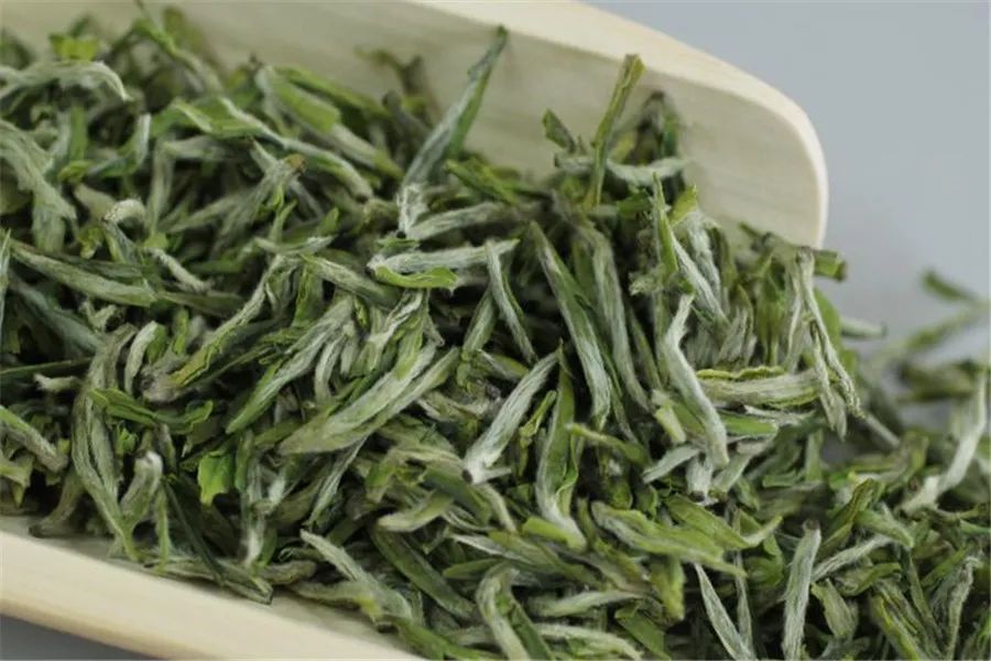 How come there are so many teas called "Xueya"!Are they all green tea ...