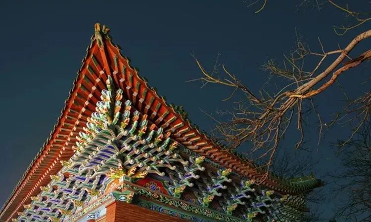 An amateur photographer who photographed the most beautiful ancient ...