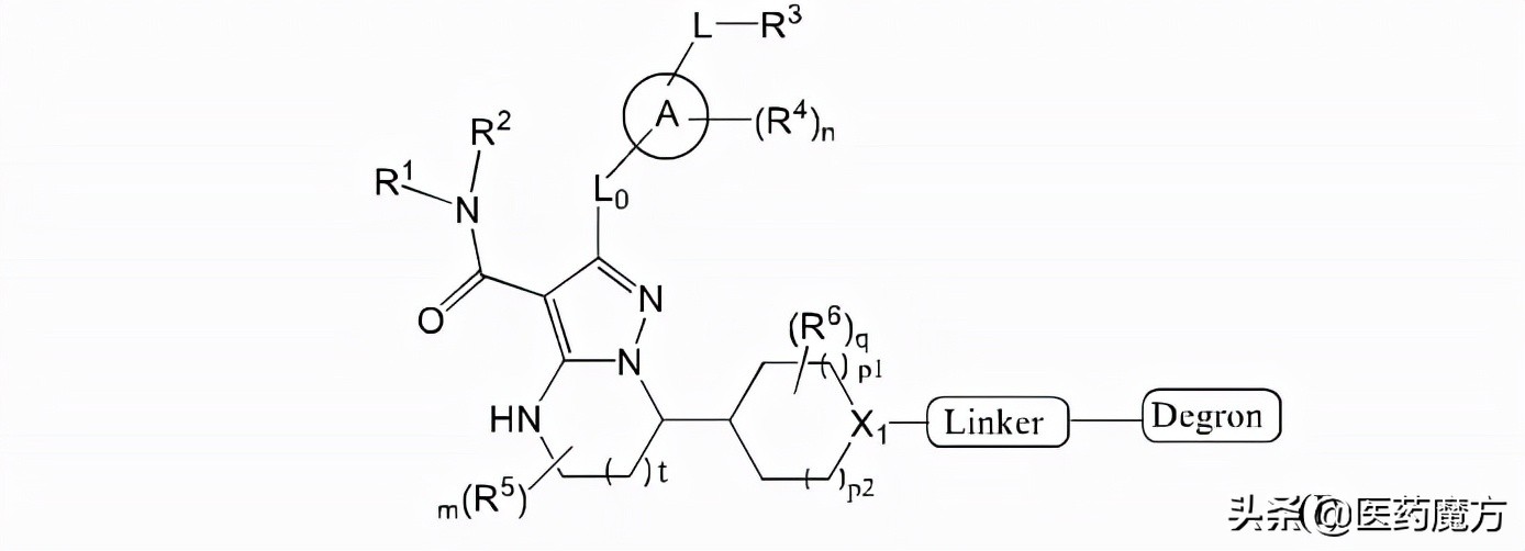 BeiGene: The world's third BTK-PROTAC starts clinical trials - iMedia