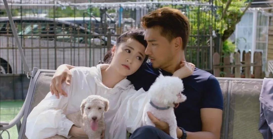 The story of TVB's "Unbelievable Case" is over, but the discussion ...