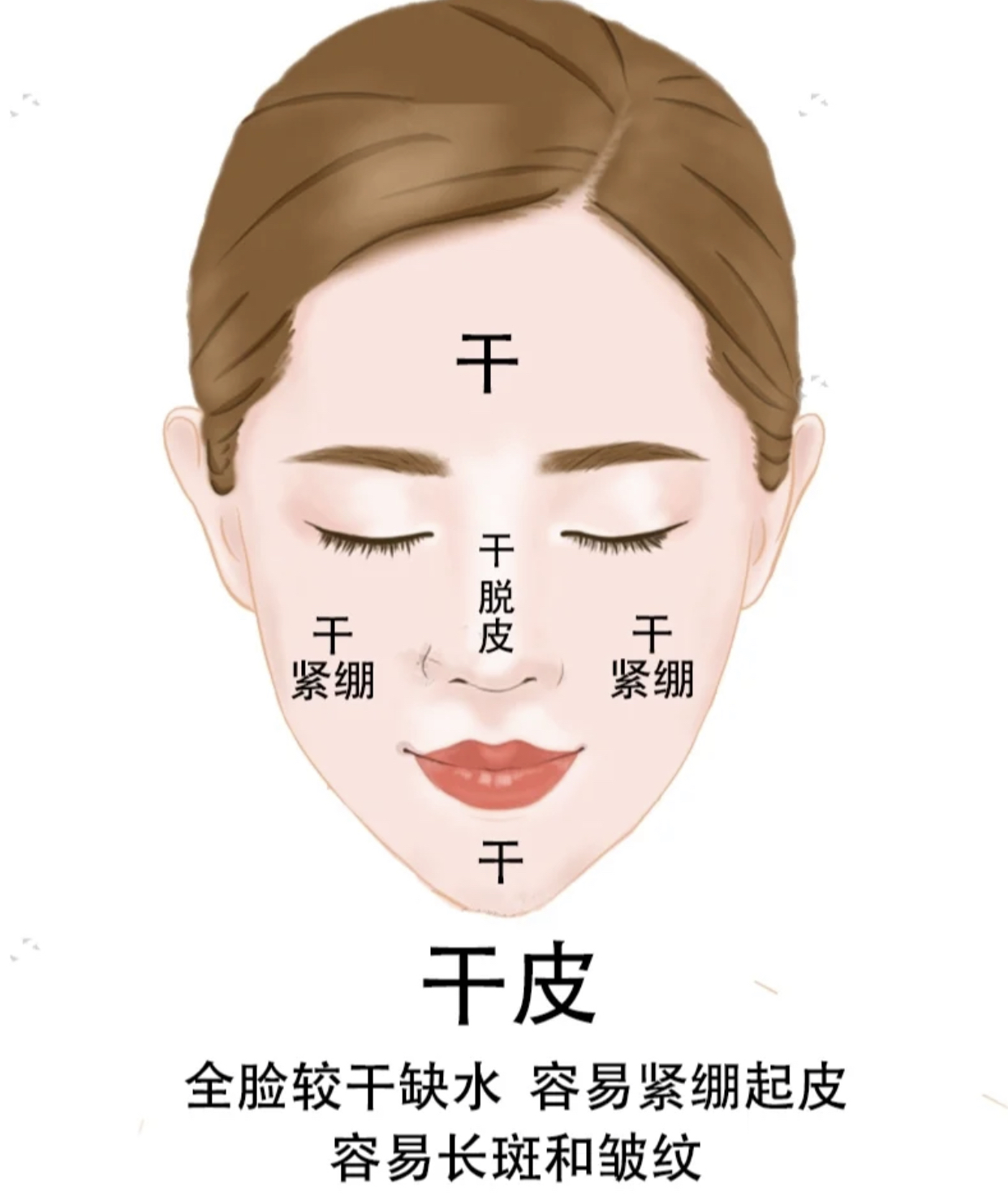 Are you really "dry skin"?Different skin types have different ...