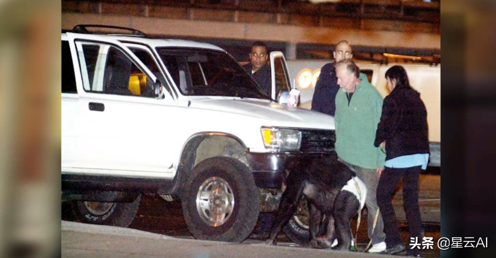 Why some animals can't be pets, real chimpanzee cannibalism incident ...