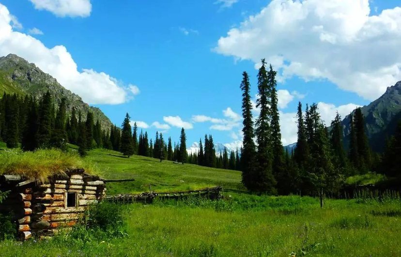 The Seven Unique Poems of Zhou Jianping's Original Poems • The Xia ...