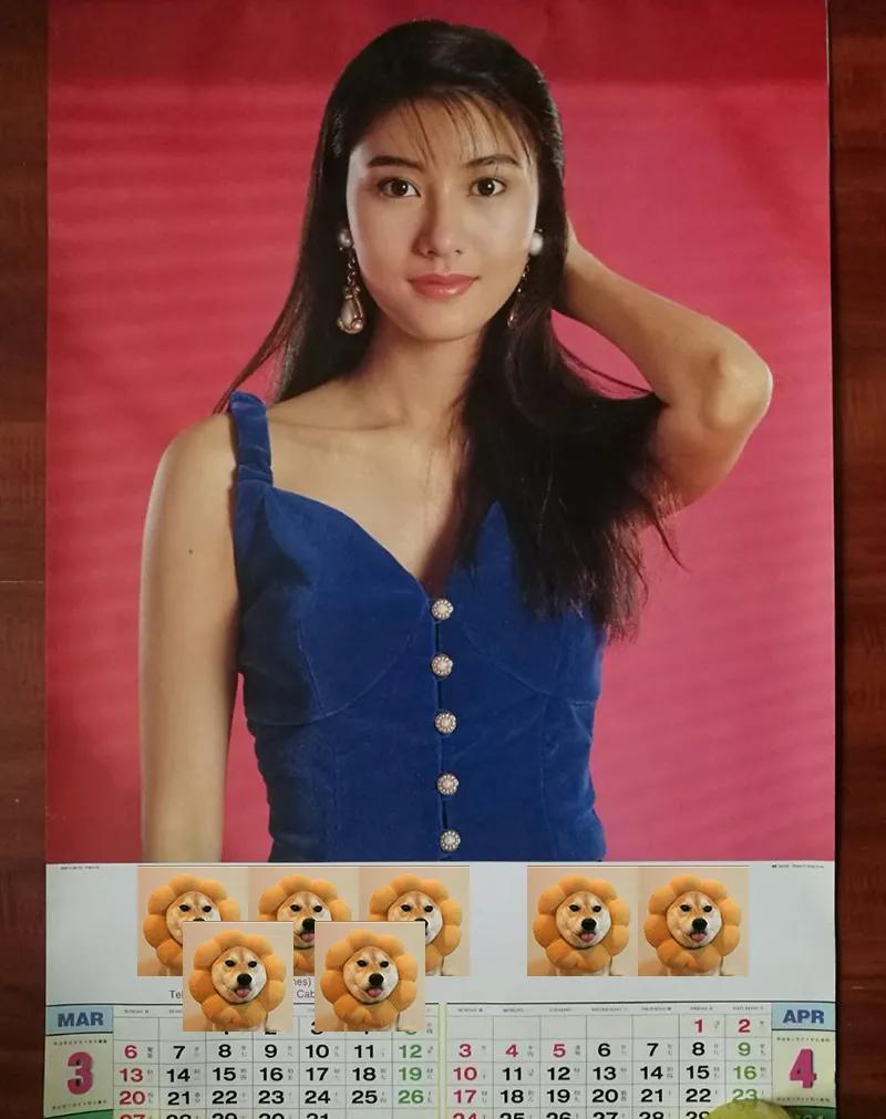 The female celebrity calendars of the 1980s and 1990s are retro and ...