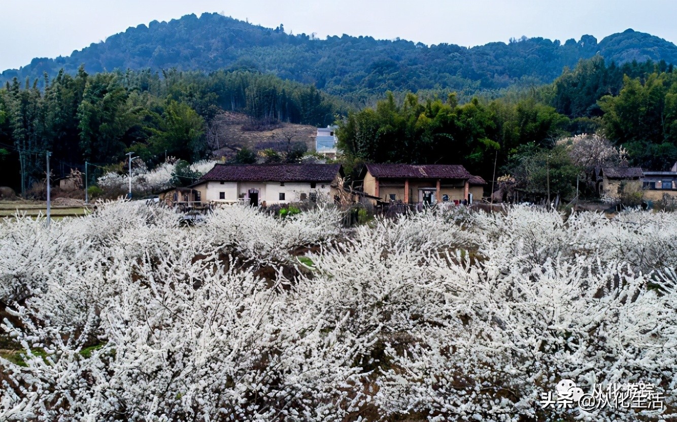 Thinking of the source of drinking water, exploring the source of Liuxi River in Conghua - iMedia