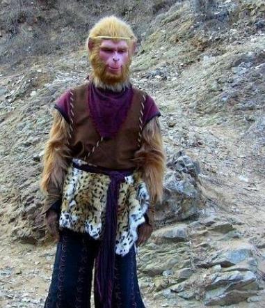 Why does Sun Wukong only wear tiger skin skirts and not invulnerable ...
