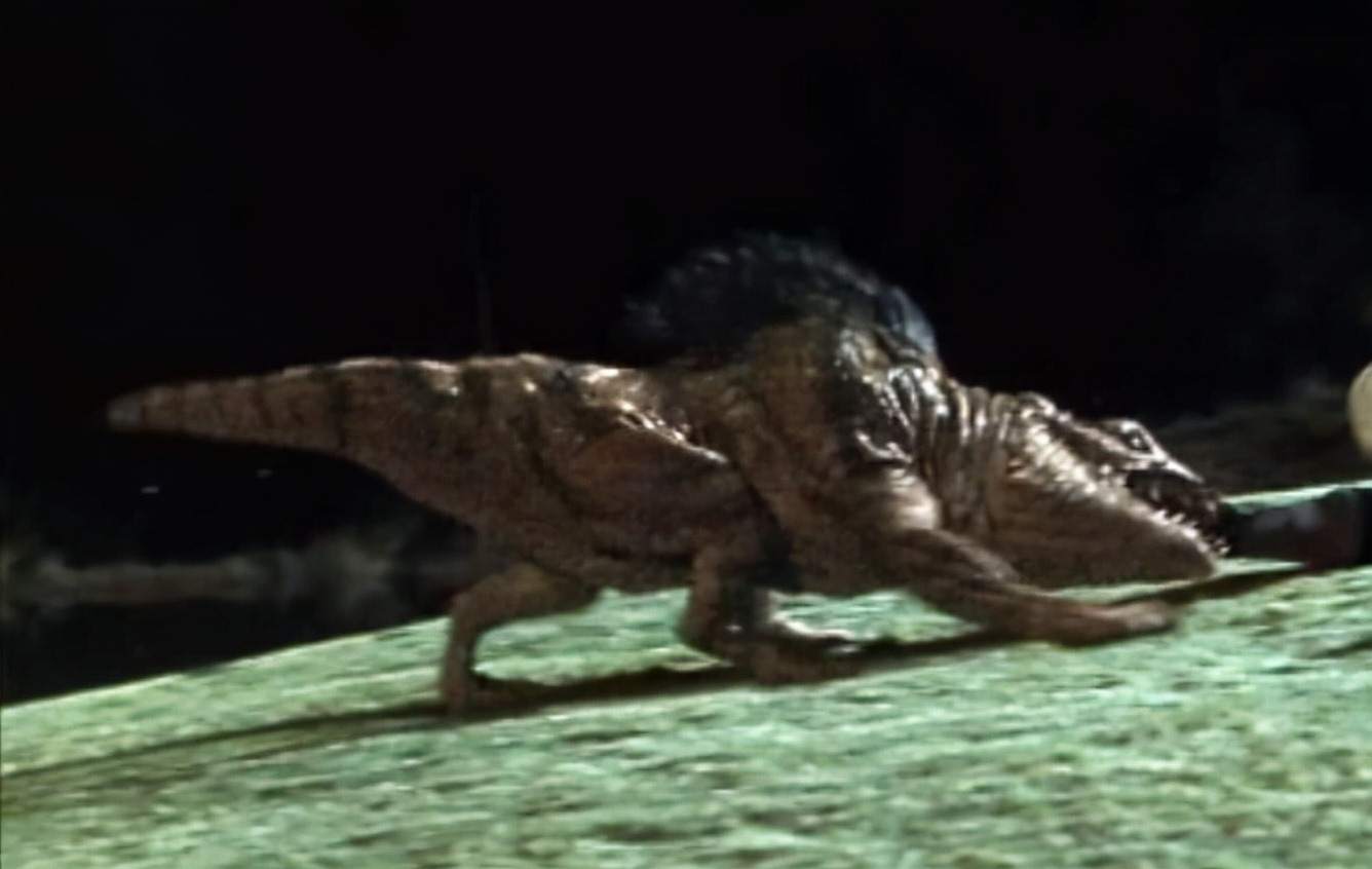 "Evolutionary Crisis" prehistoric amphibians-the ancestor of ...