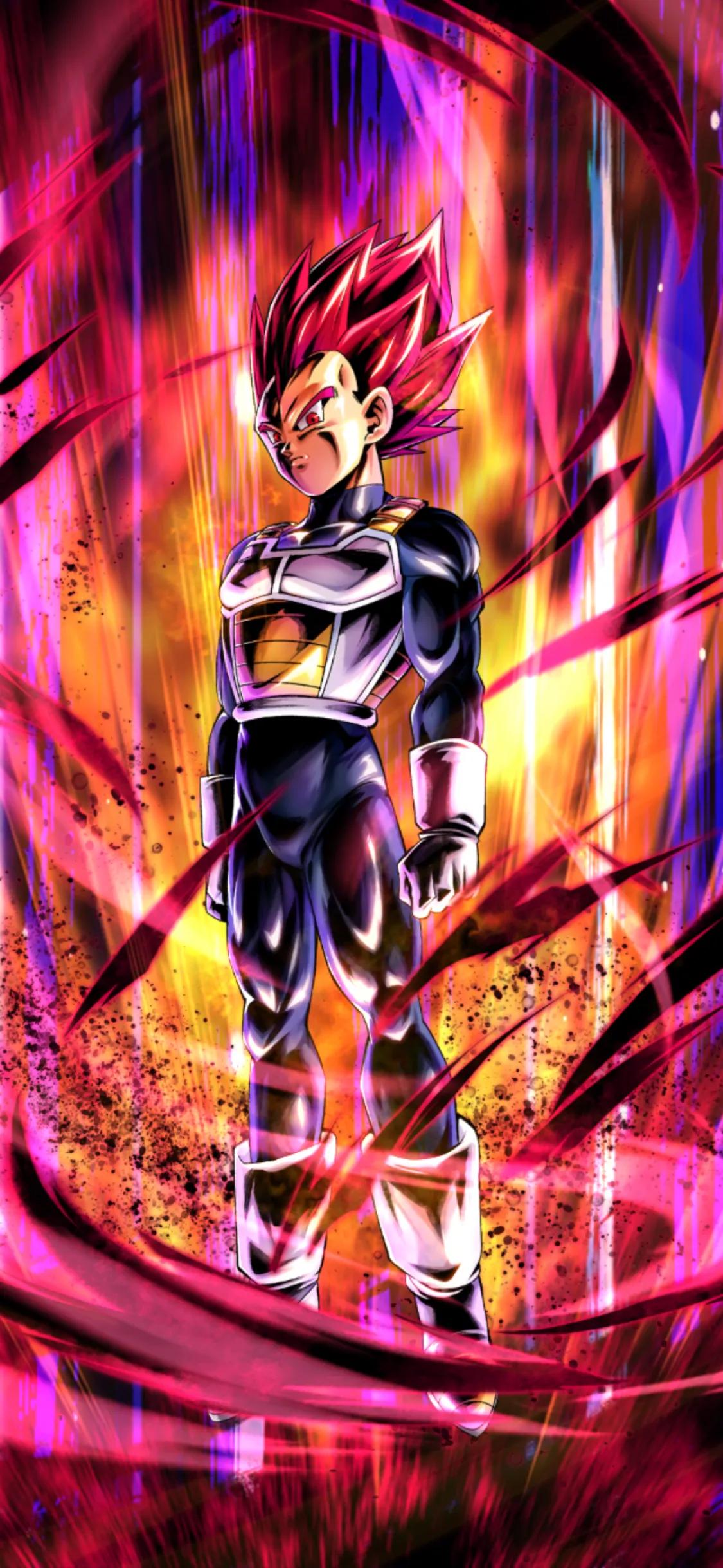 Legend of the Dragon Ball Battle Legend Vegeta Family Illustrated Book ...