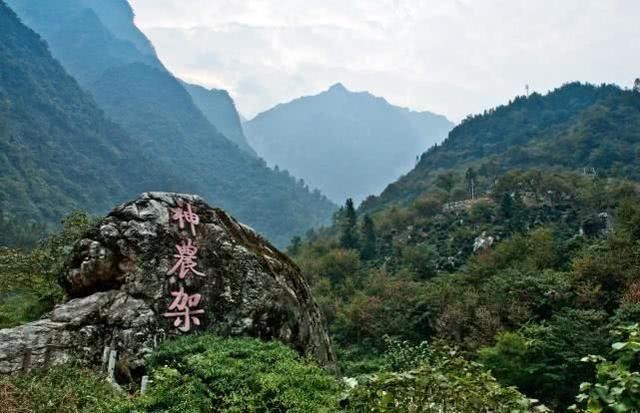 The "nine-headed bird" recorded in "Shan Hai Jing" appeared in ...