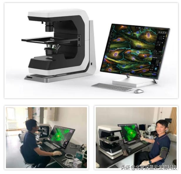 In addition to the nickname, the Echo Revolution fluorescence ...