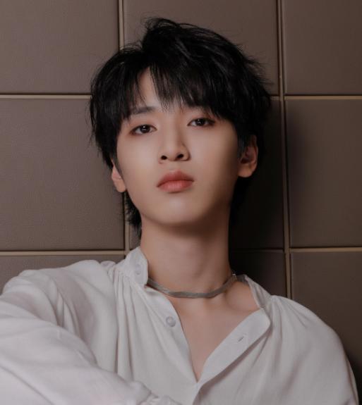 Zhou Ziqian participated in the audition for the 4th time. Before the ...